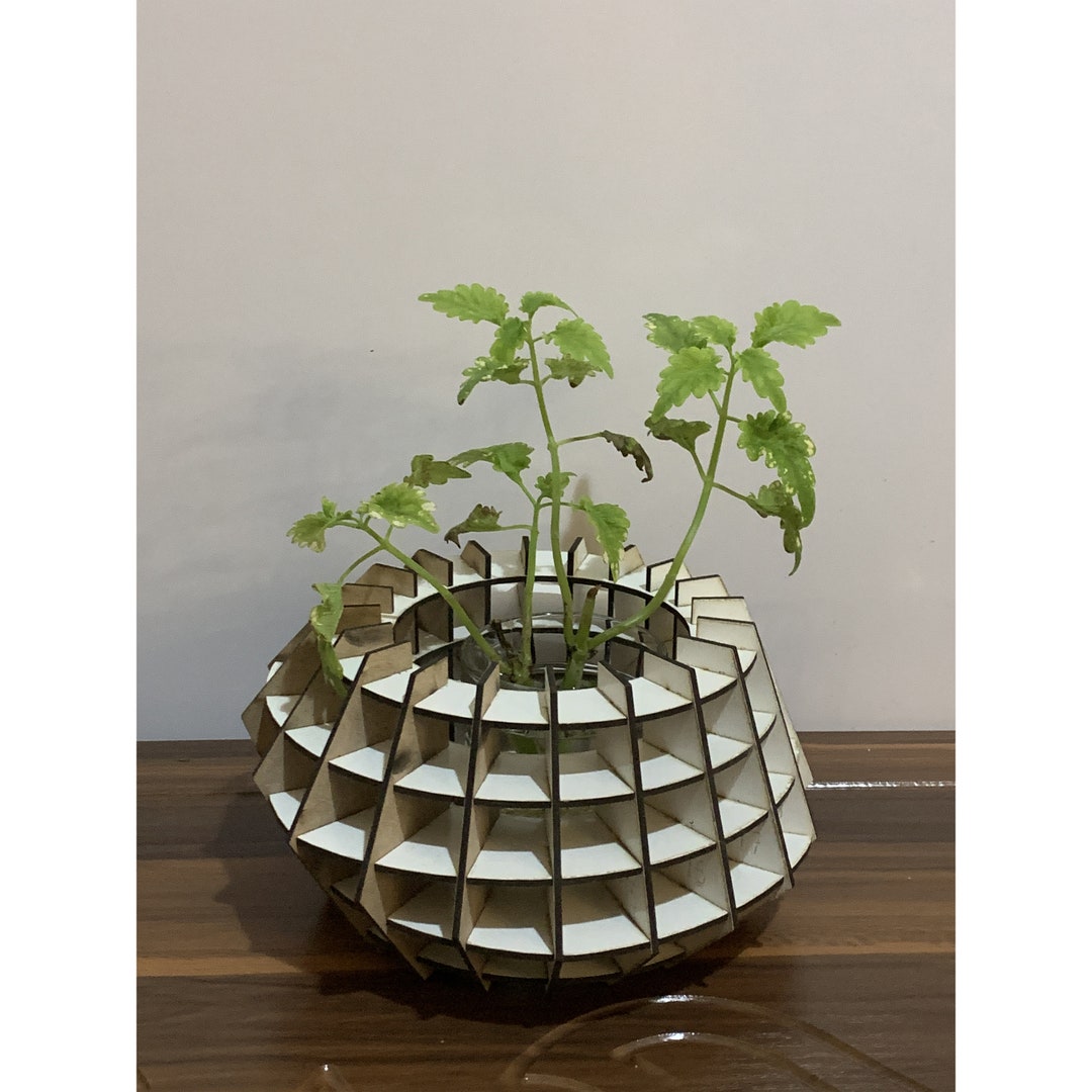 Flower Pot ,parametric Pot ,wooden Flower Pot,handmade Pot,lasercut Pot ...