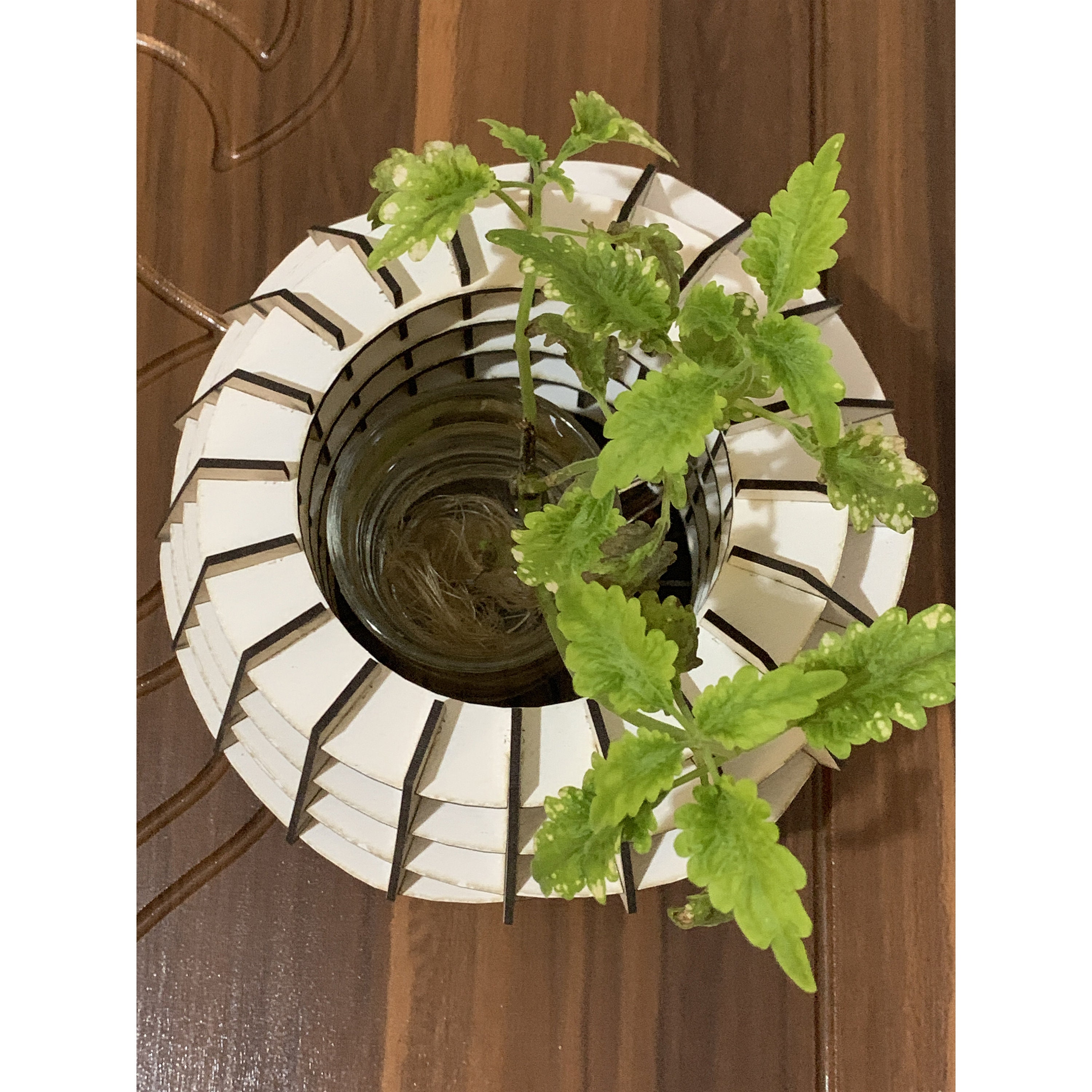 Flower Pot ,parametric Pot ,wooden Flower Pot,handmade Pot,lasercut Pot ...