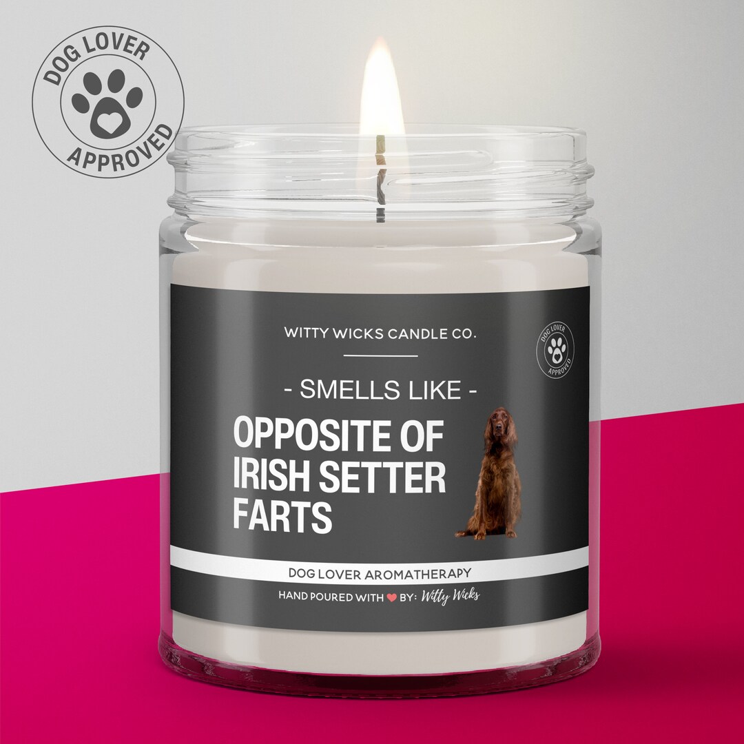 Irish Setter Gift Funny Irish Setter Gift Irish Setter Candle Irish ...