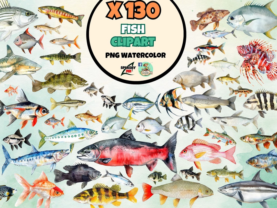 Watercolor Fish Clipart, Freshwater Prints, Marine Sticker, Aquarium ...