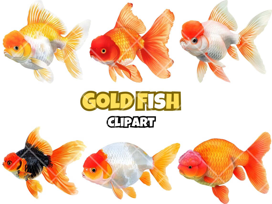 Goldfish Clipart, Watercolor Aquarium Fish for Prints & Decor, Oranda ...