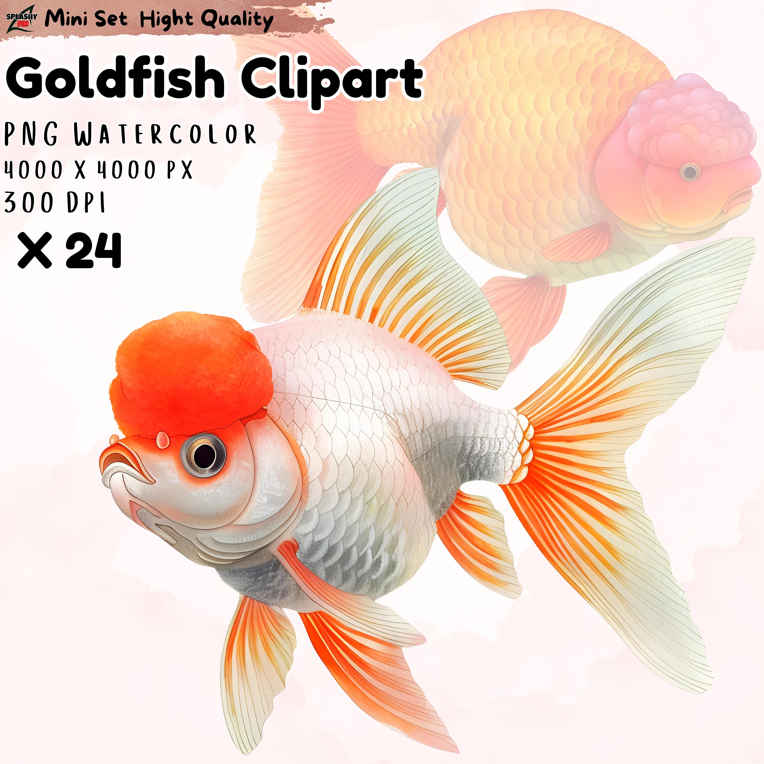 Goldfish Clipart, Watercolor Aquarium Fish for Prints & Decor, Oranda ...