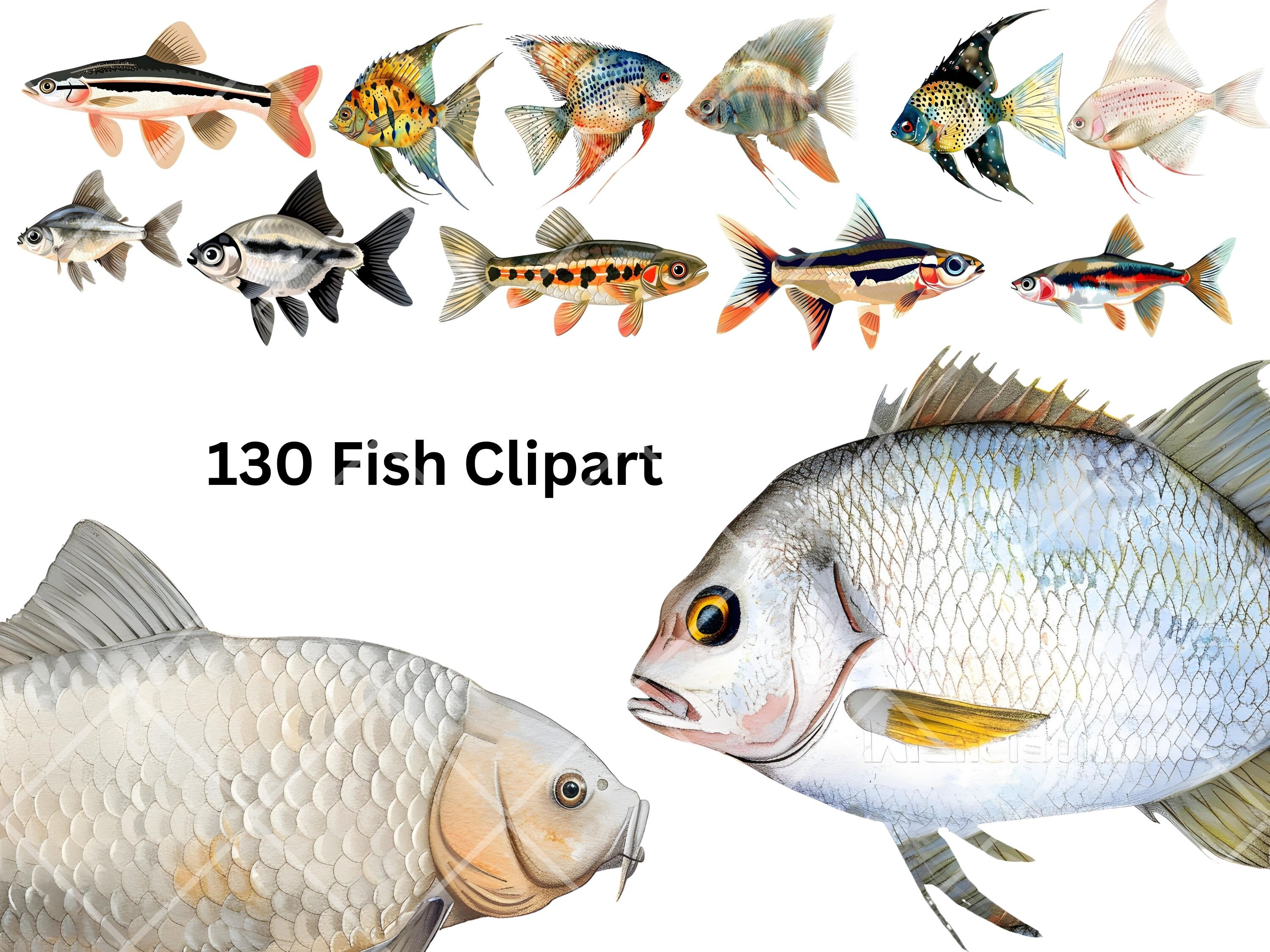 Watercolor Fish Clipart, Freshwater Prints, Marine Sticker, Aquarium ...