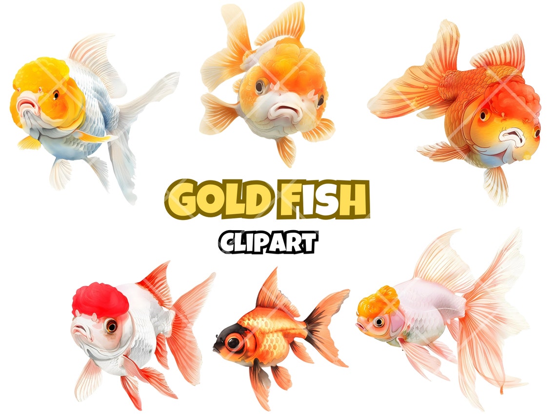 Goldfish Clipart, Watercolor Aquarium Fish for Prints & Decor, Oranda ...