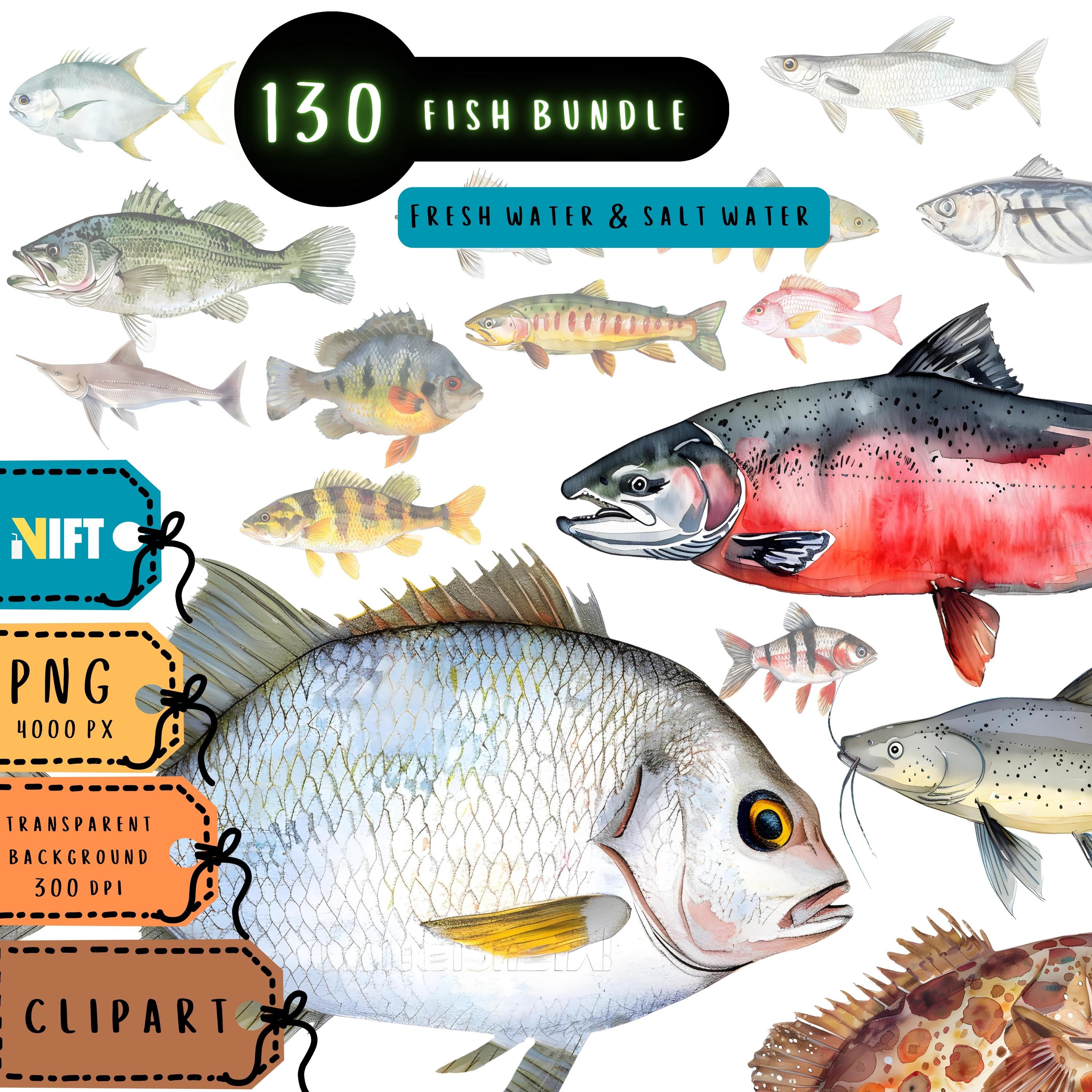 Watercolor Fish Clipart, Freshwater Prints, Marine Sticker, Aquarium ...