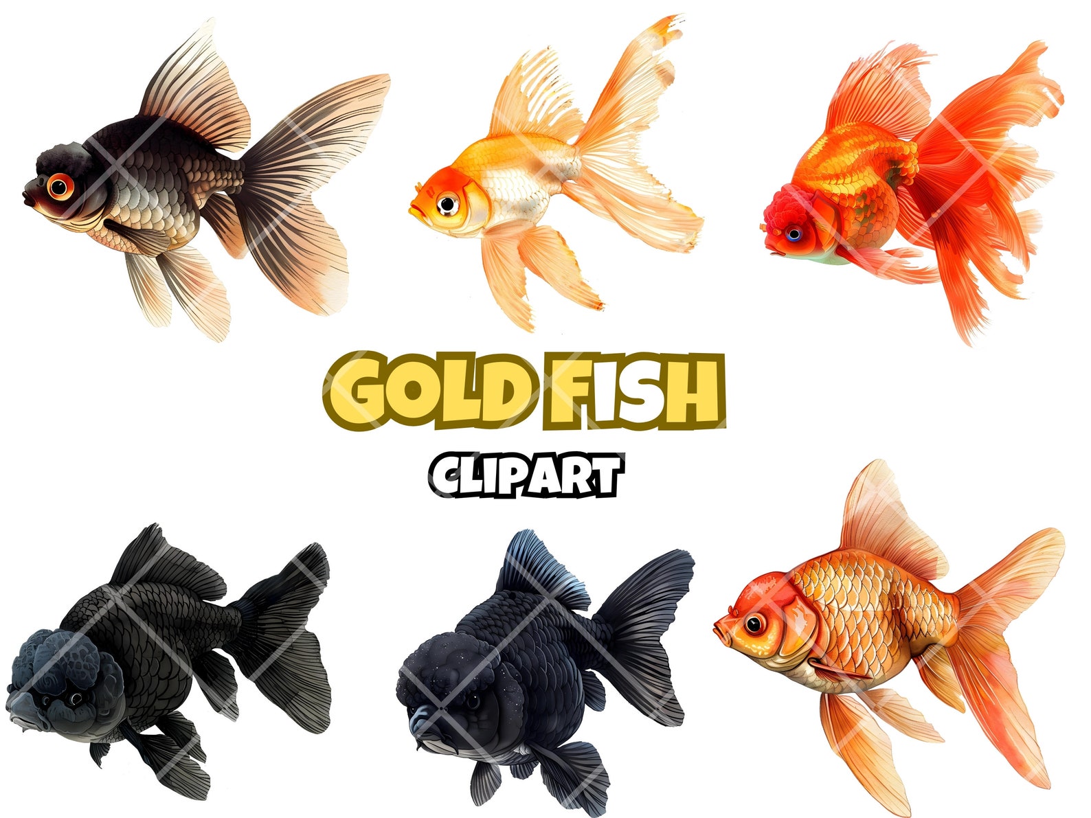 Goldfish Clipart, Watercolor Aquarium Fish for Prints & Decor, Oranda ...