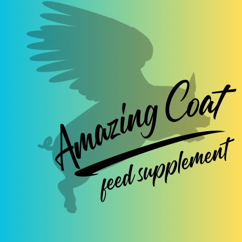 Mini Pig Vitamin & Mineral Supplement, Mini Pig Skin and Coat, Combo ...