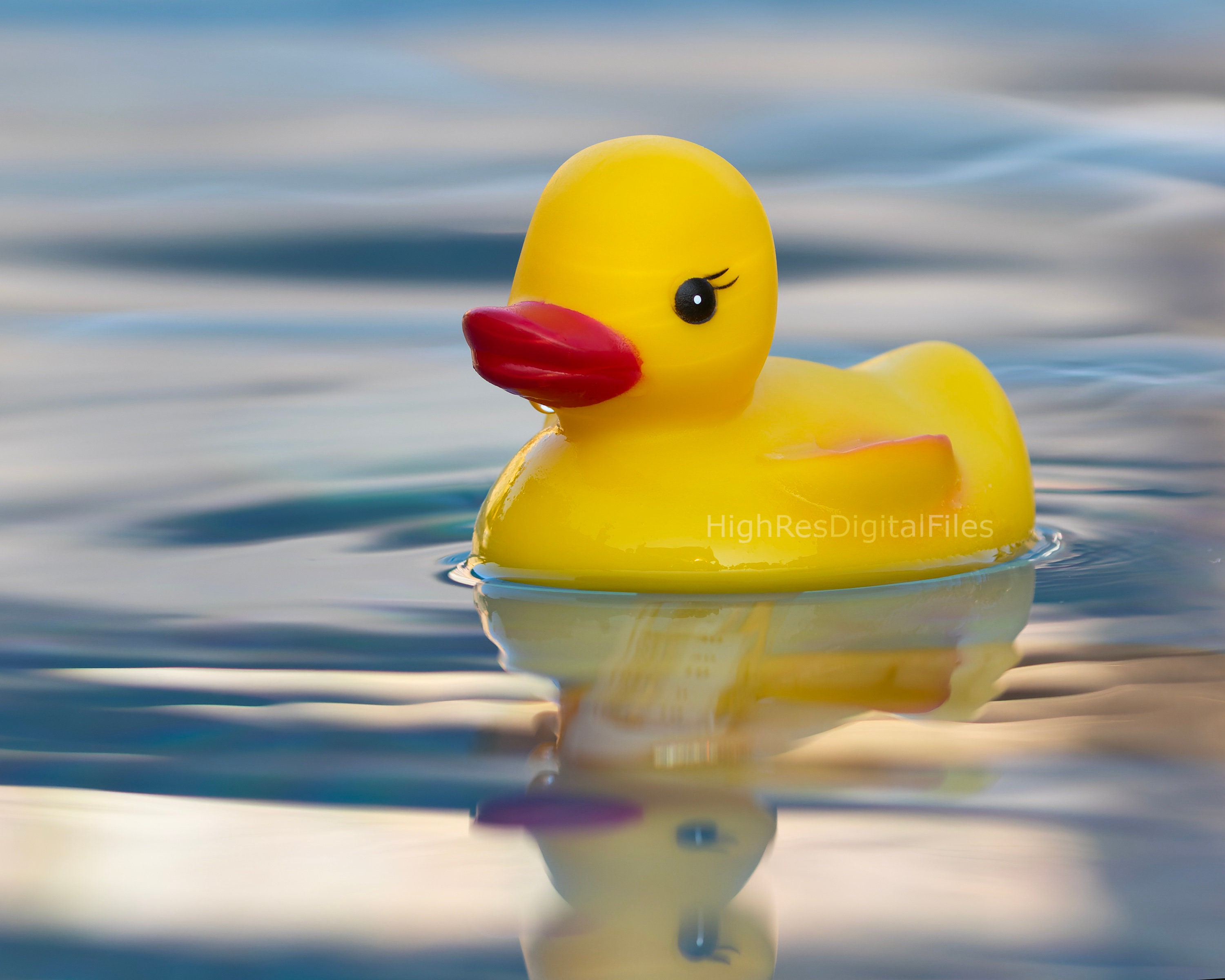 Rubber Duck Duckie Photograph Wall Art Gift Digital Download Decor Room ...