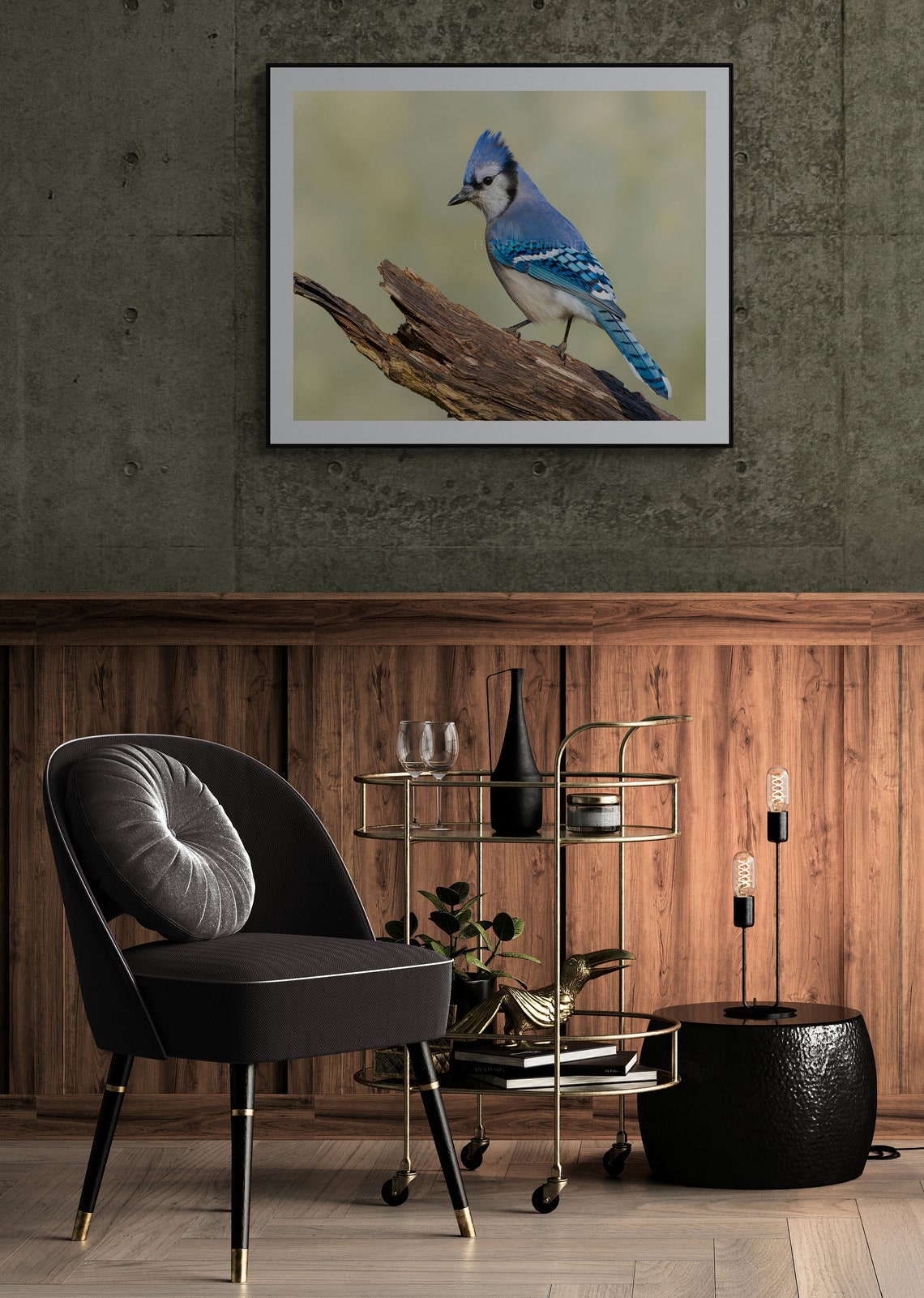 Photograph Blue Jay Print Art Gift Nature Photography Decor Room ...
