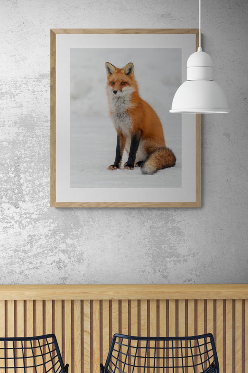 Red Fox Print Art Photograph Gift Nature Photography Decor Room Digital ...