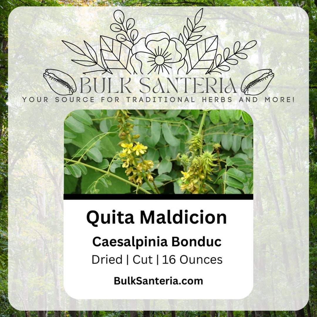 Quita Maldicion Caesalpinia Bonduc Dried Herb Bulk 16 Ounces Santeria ...