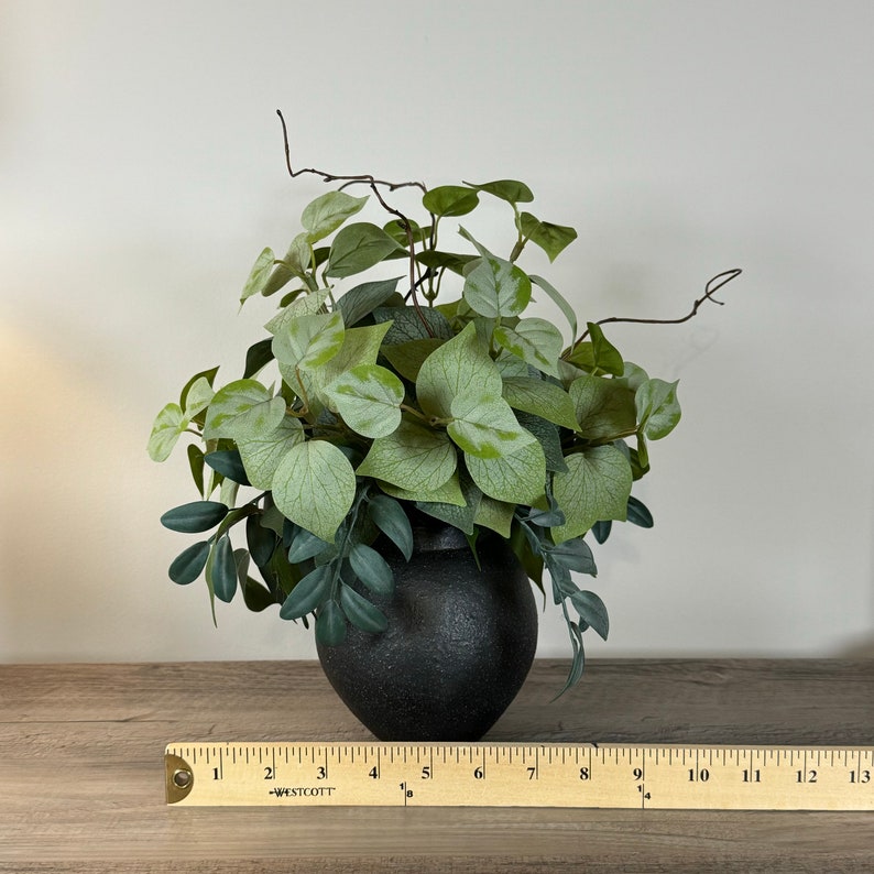 Greenery Arrangement Pothos in Black Vase. Contemporary, Boho, Modern ...