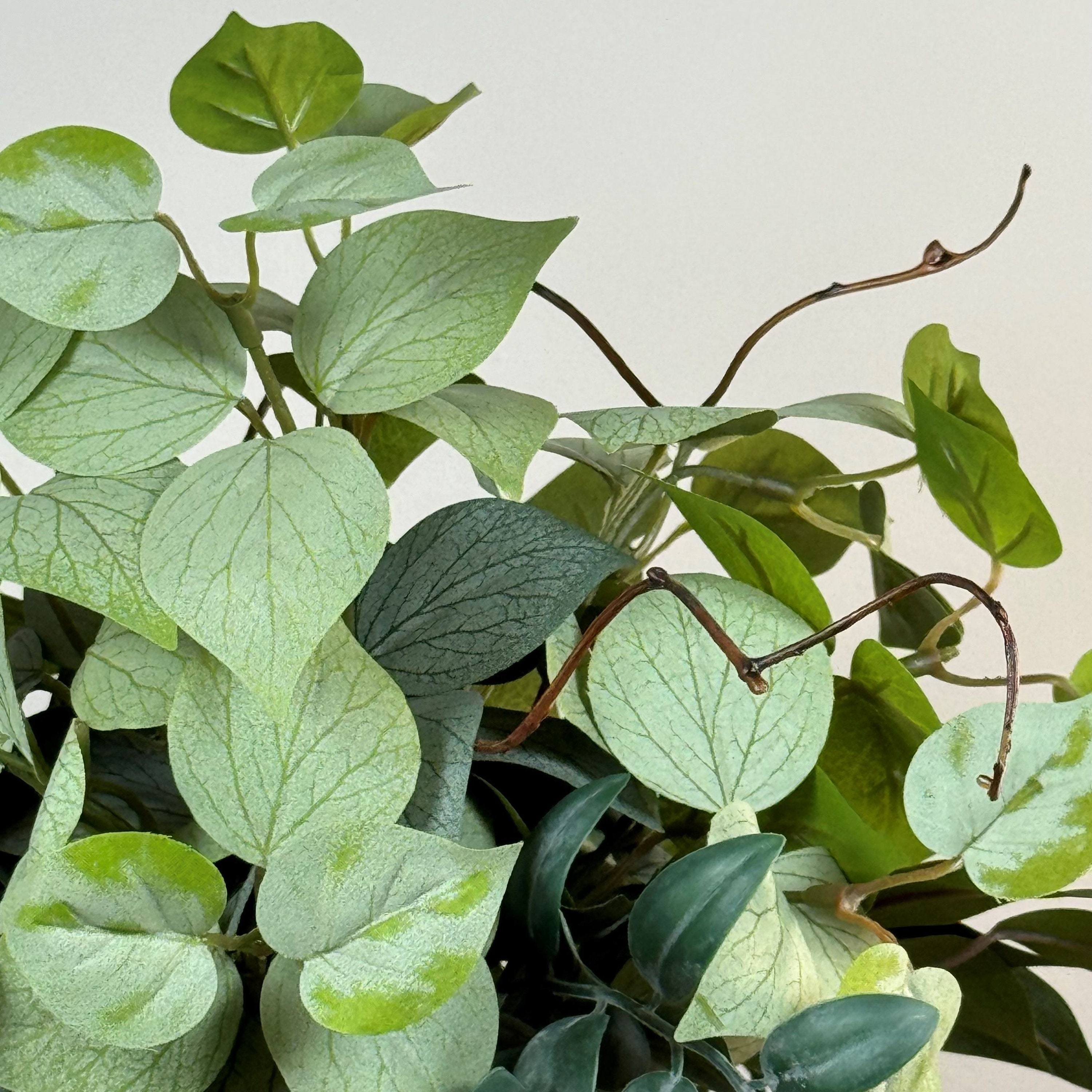 Greenery Arrangement Pothos in Black Vase. Contemporary, Boho, Modern ...