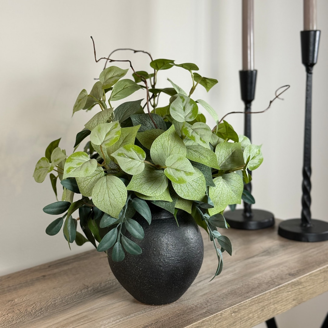 Greenery Arrangement Pothos in Black Vase. Contemporary, Boho, Modern ...