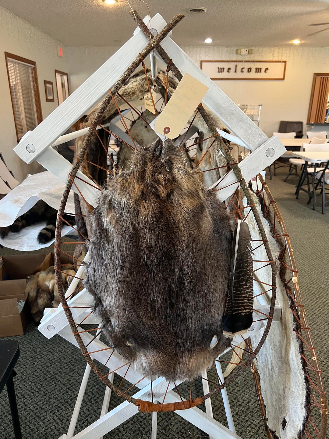 Very Rare Grey, Black, and Brown Super Prime Beautiful Beaver Hoop. - Etsy