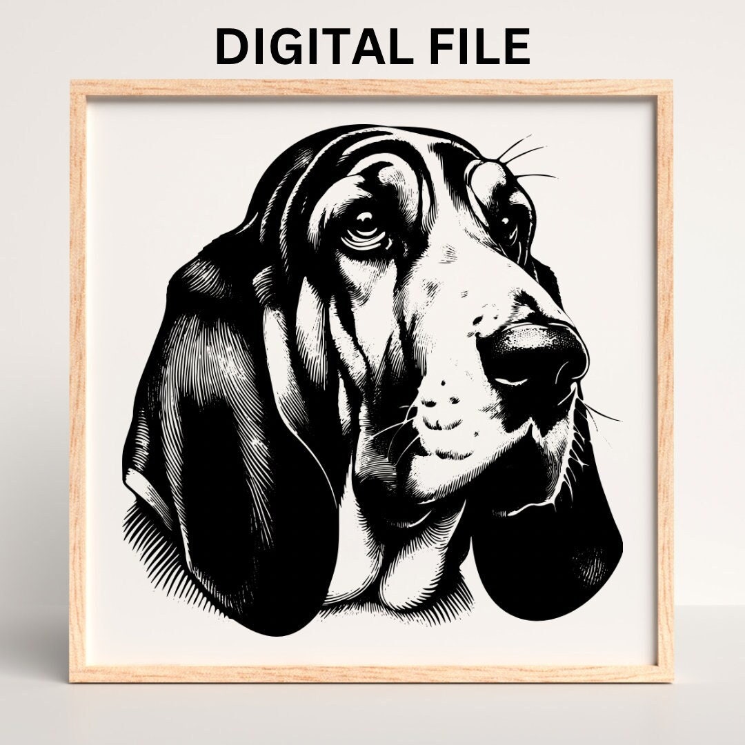 Basset Hound Portrait - Dog - SVG, PNG, JPEG - Etsy