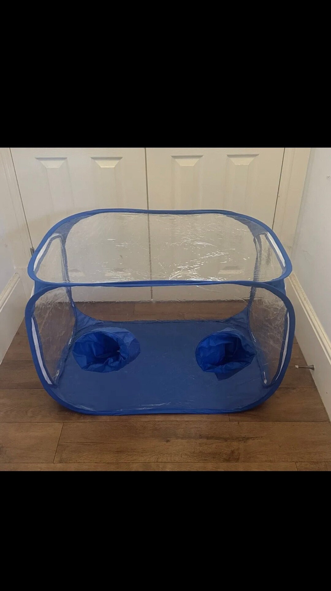 XXL Mushroomtec Still Air Box Mushroom Monotub Kit With Temp and ...