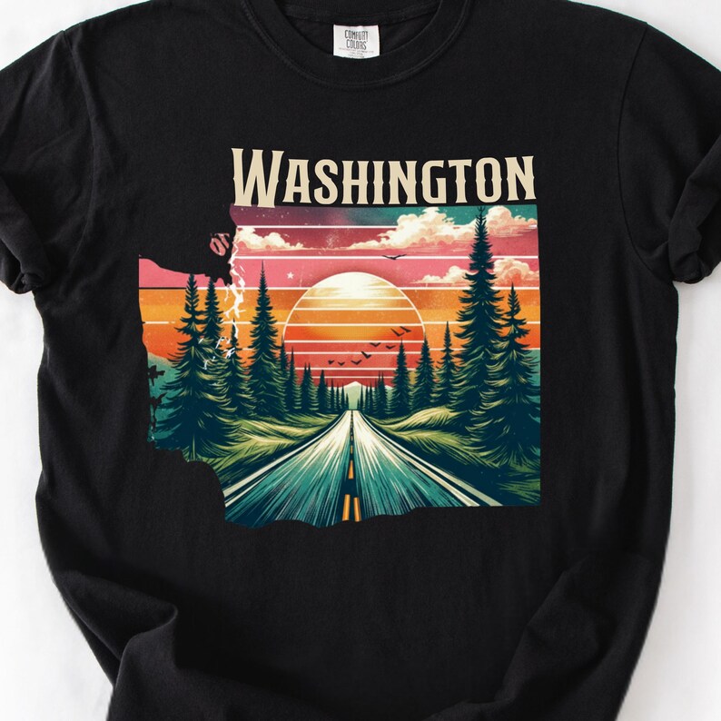 Comfort Colors Boho State of WA Sweatshirt, State of Washington ...
