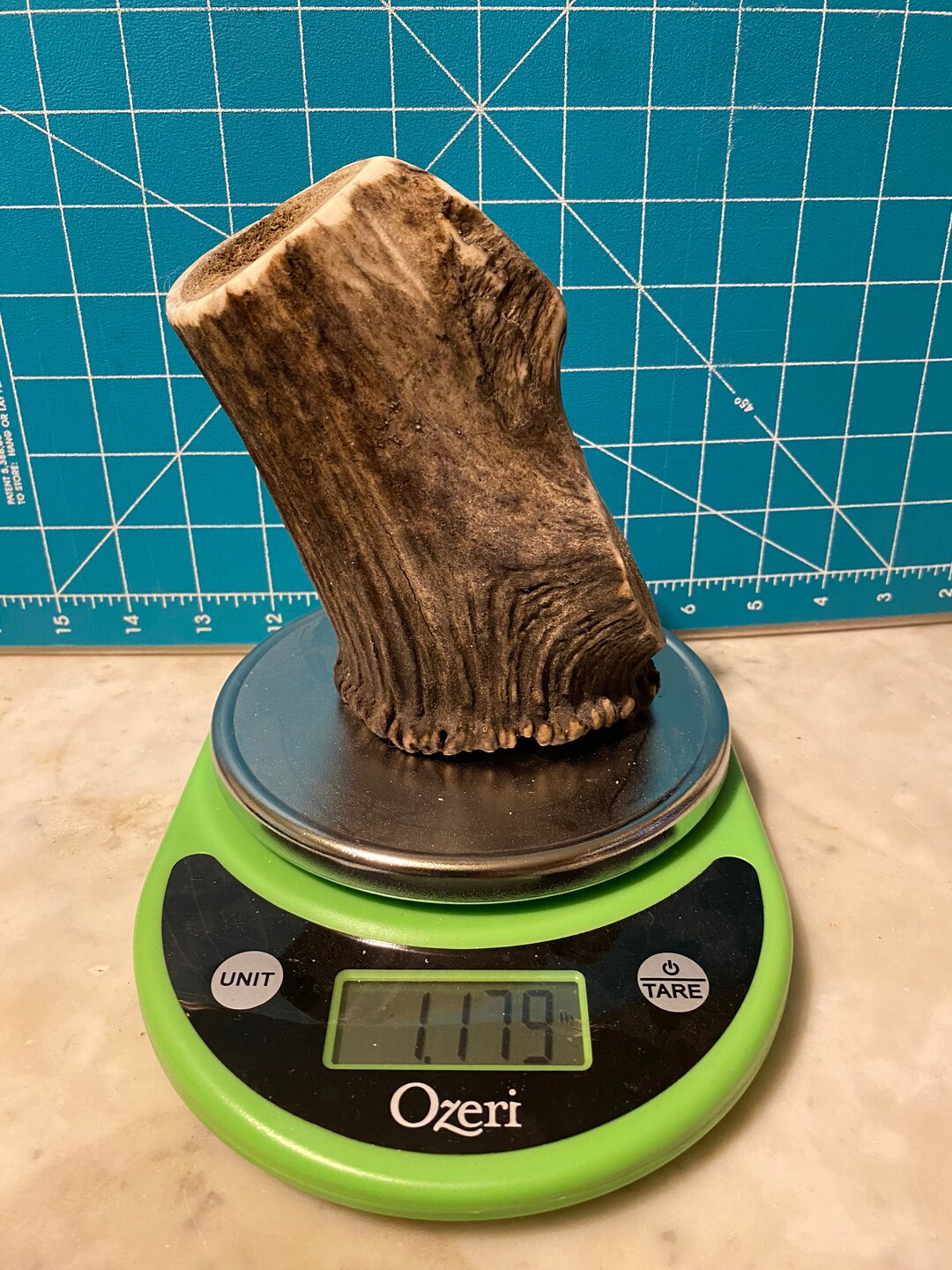 Huge JUMBO Elk Antler Premium Chunk Chew for XL-XXL Dogs 100% Organic ...