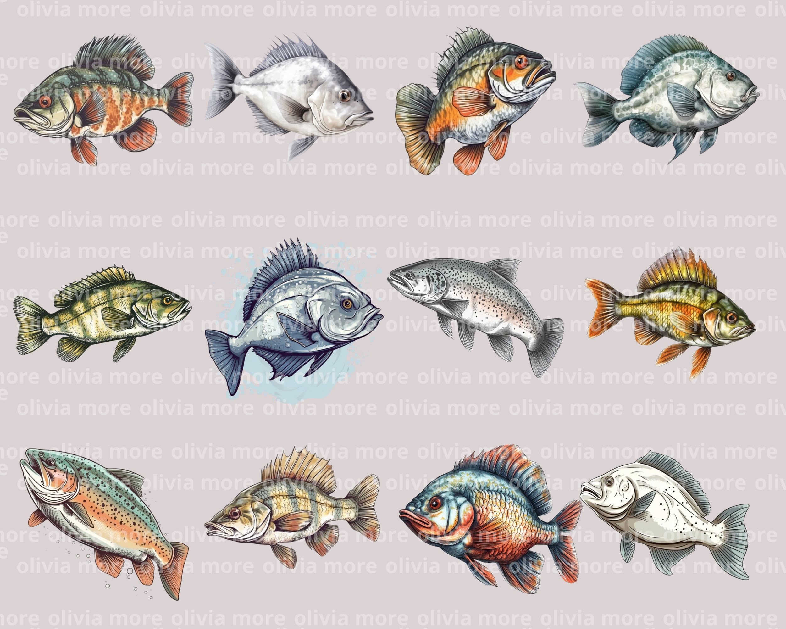 Freshwater Fish Clipart, Fish Clipart, Bass Fish, Printable Watercolor ...