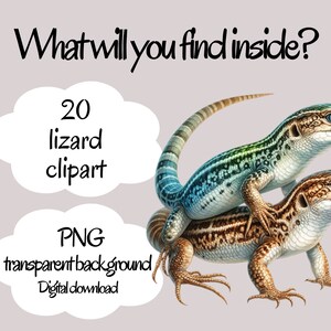 Lizard Clipart Watercolor Reptile Clipart Lizard Png Cute Lizard ...