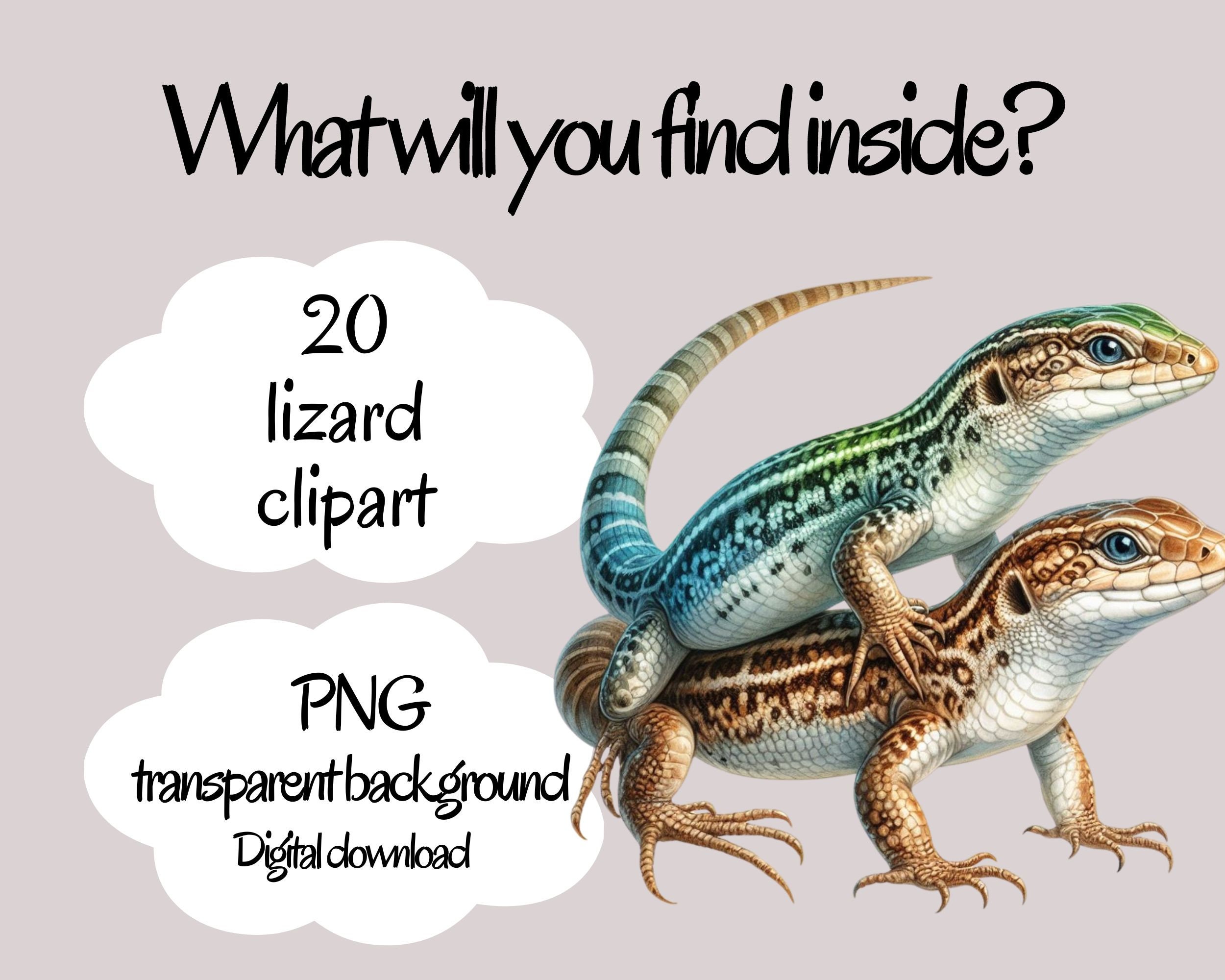 Lizard Clipart Watercolor Reptile Clipart Lizard Png Cute Lizard ...