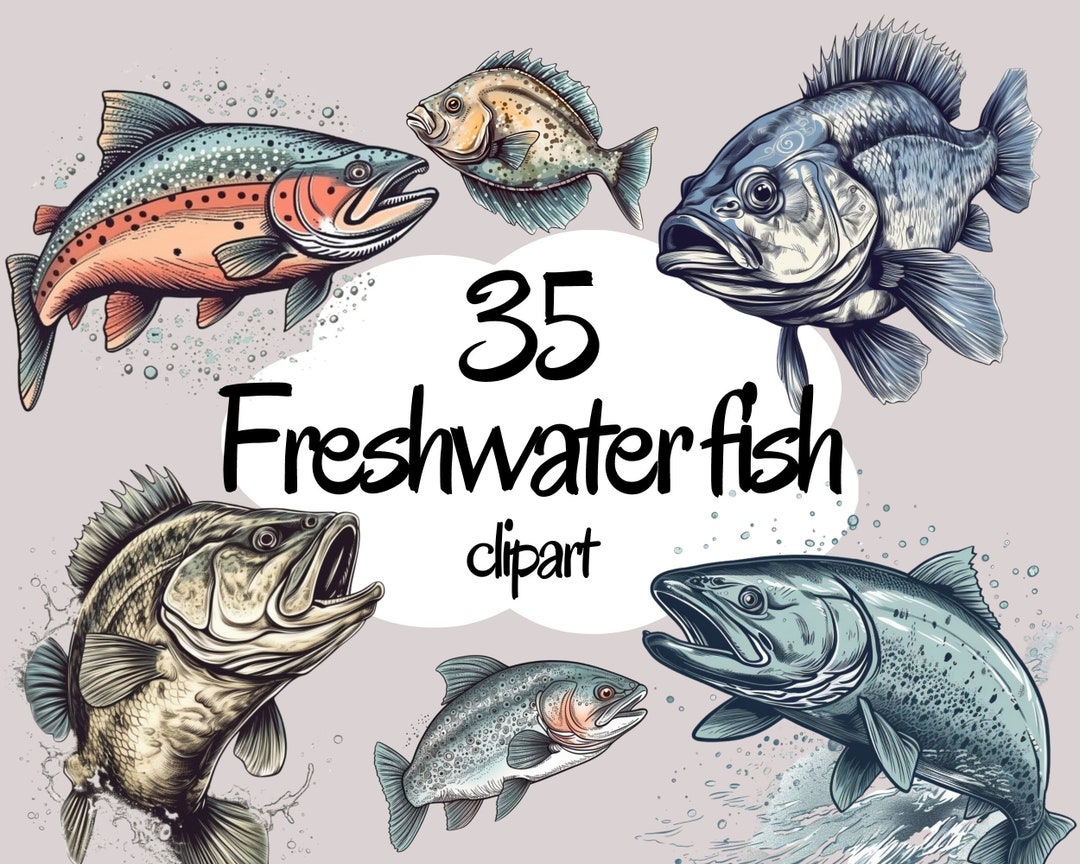 Freshwater Fish Clipart, Fish Clipart, Bass Fish, Printable Watercolor ...