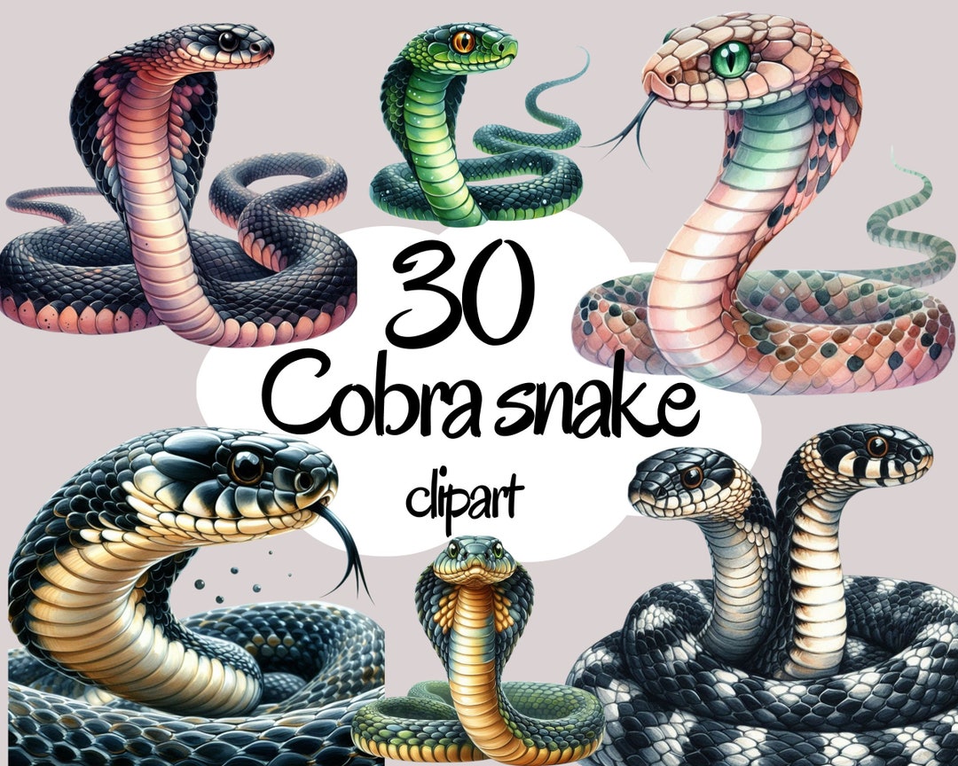 Cobra Snake Clipart Watercolor Snake Clipart Snake Png Cute Snake ...