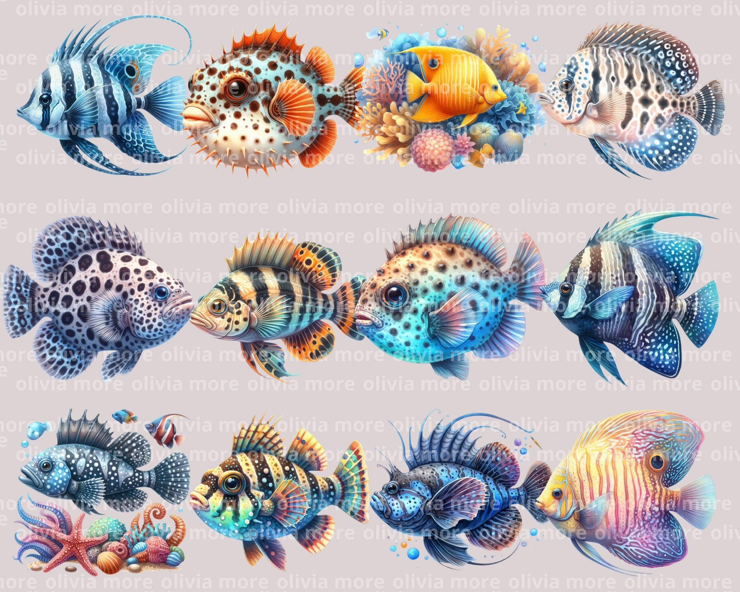 Watercolor Saltwater Clipart Ocean Fish Illustrations Sea Life ...