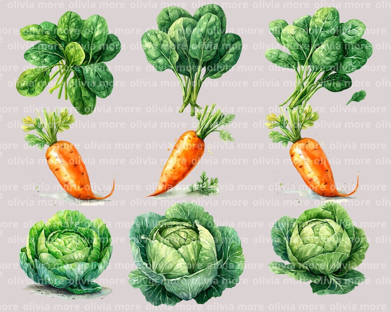 Watercolor Vegetables PNG Clipart Bundle, Tomato, Carrot, Painted ...