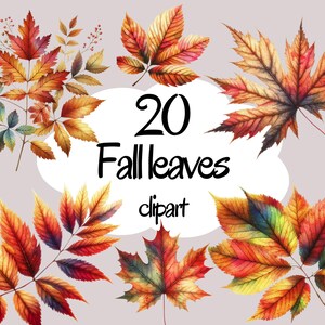 Autumn Leaves Fall Leaves Clipart Bundle Transparent Background Digital ...