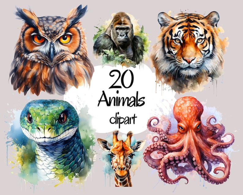 Watercolor Animals Clipart, Colorful Safari Illustrations, Painted ...