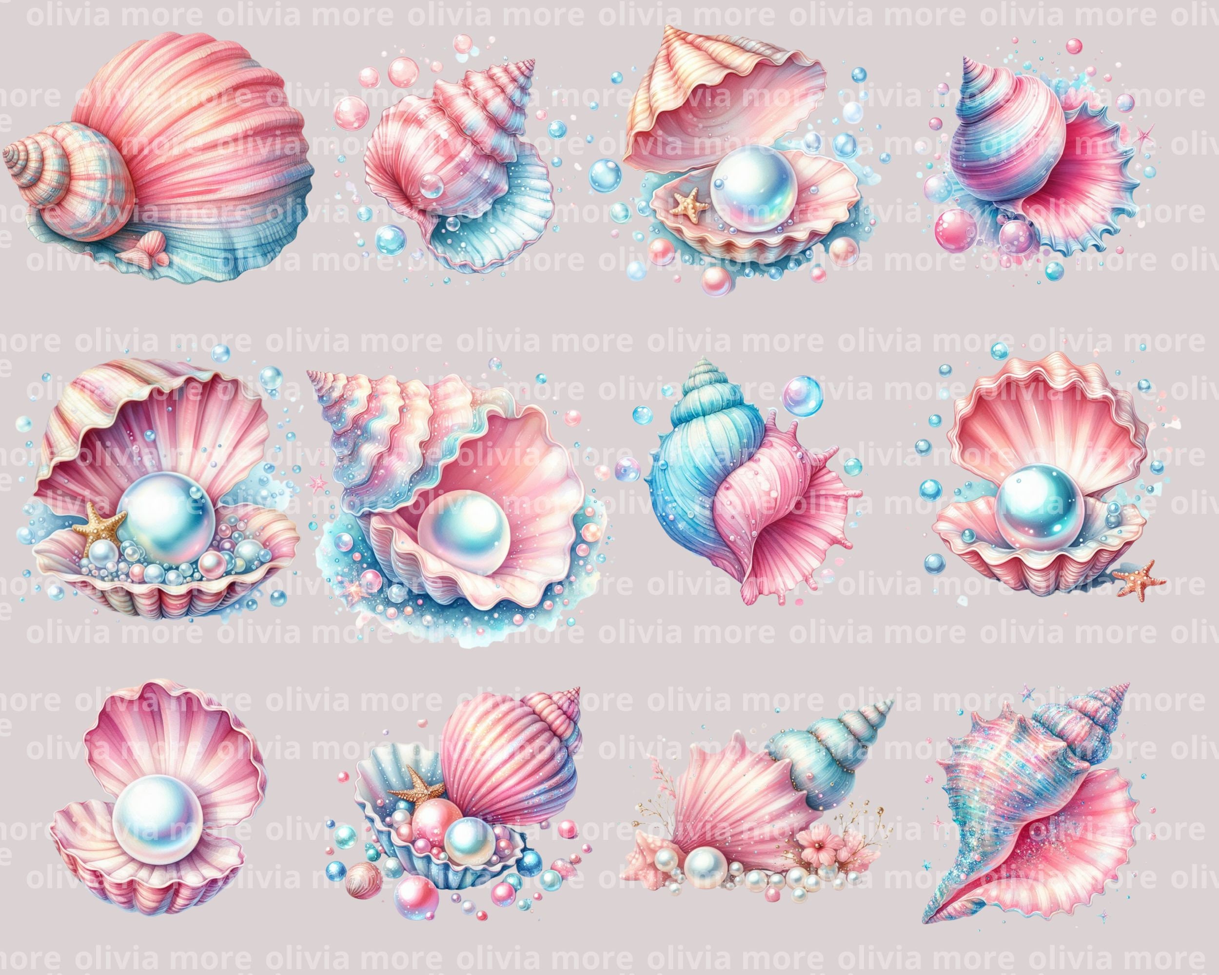 Shell Clipart Bundle, Watercolor Cute Pink Shell Clipart Png, Cute Sea ...