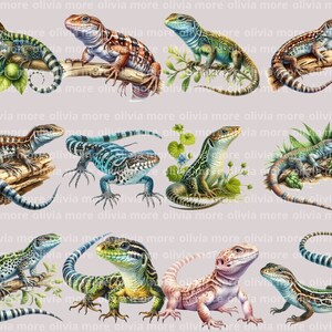 Lizard Clipart Watercolor Reptile Clipart Lizard Png Cute Lizard ...