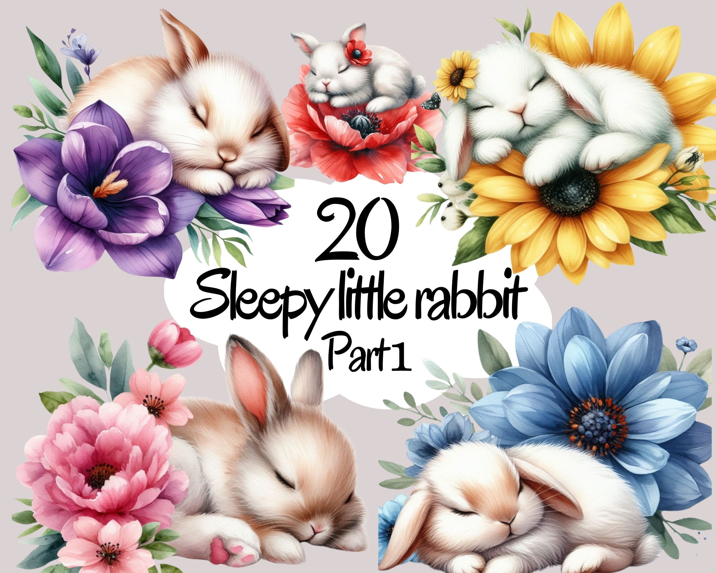 Watercolor Bunny and Flowers Clipart Bundle High Quality PNG, Digital ...