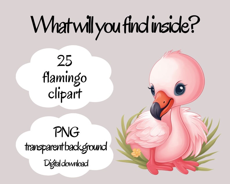 Baby Flamingos Watercolor Pink Clipart Bundle Flamingo Images, Graphics ...