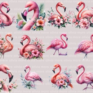 Flamingos Watercolor Pink Clipart Bundle PNG Flamingo Images, Floral ...