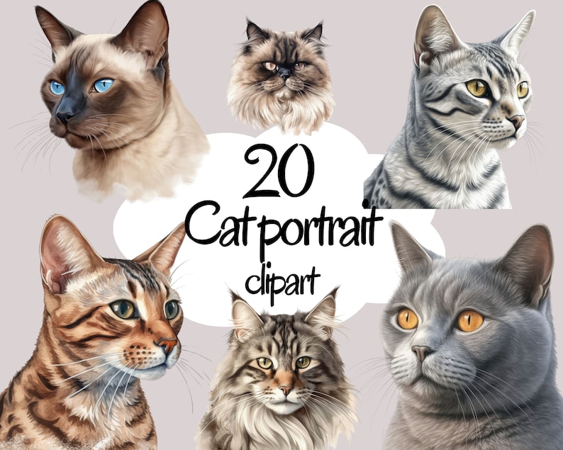 Watercolor Cat Breeds Clipart Cat Lovers, Portrait Cat, British ...
