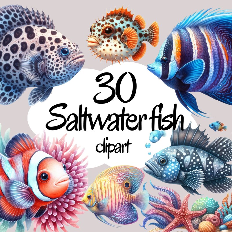 Saltwater Fish Art - Etsy