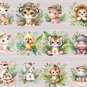 Watercolor Safari Animals Clipart, Watercolor Jungle Safari Png, Baby ...