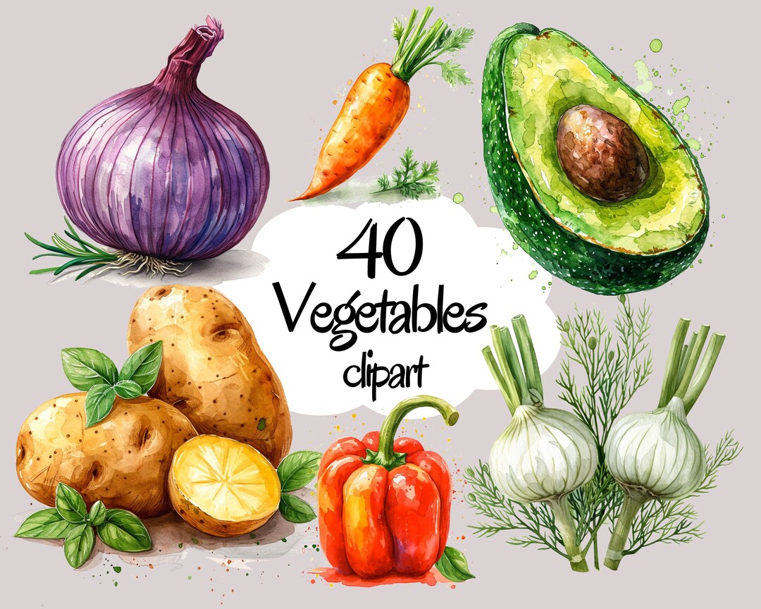 Watercolor Vegetables PNG Clipart Bundle, Tomato, Carrot, Painted ...