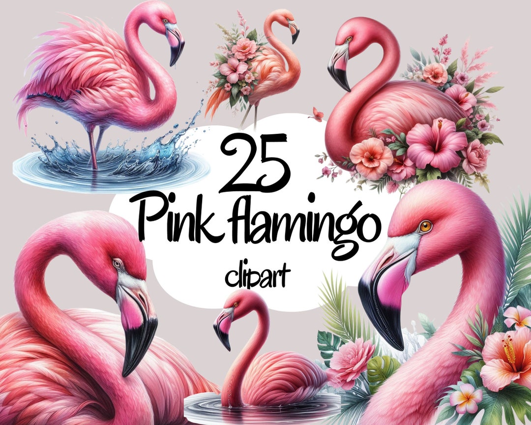 Flamingos Watercolor Pink Clipart Bundle PNG Flamingo Images, Floral ...