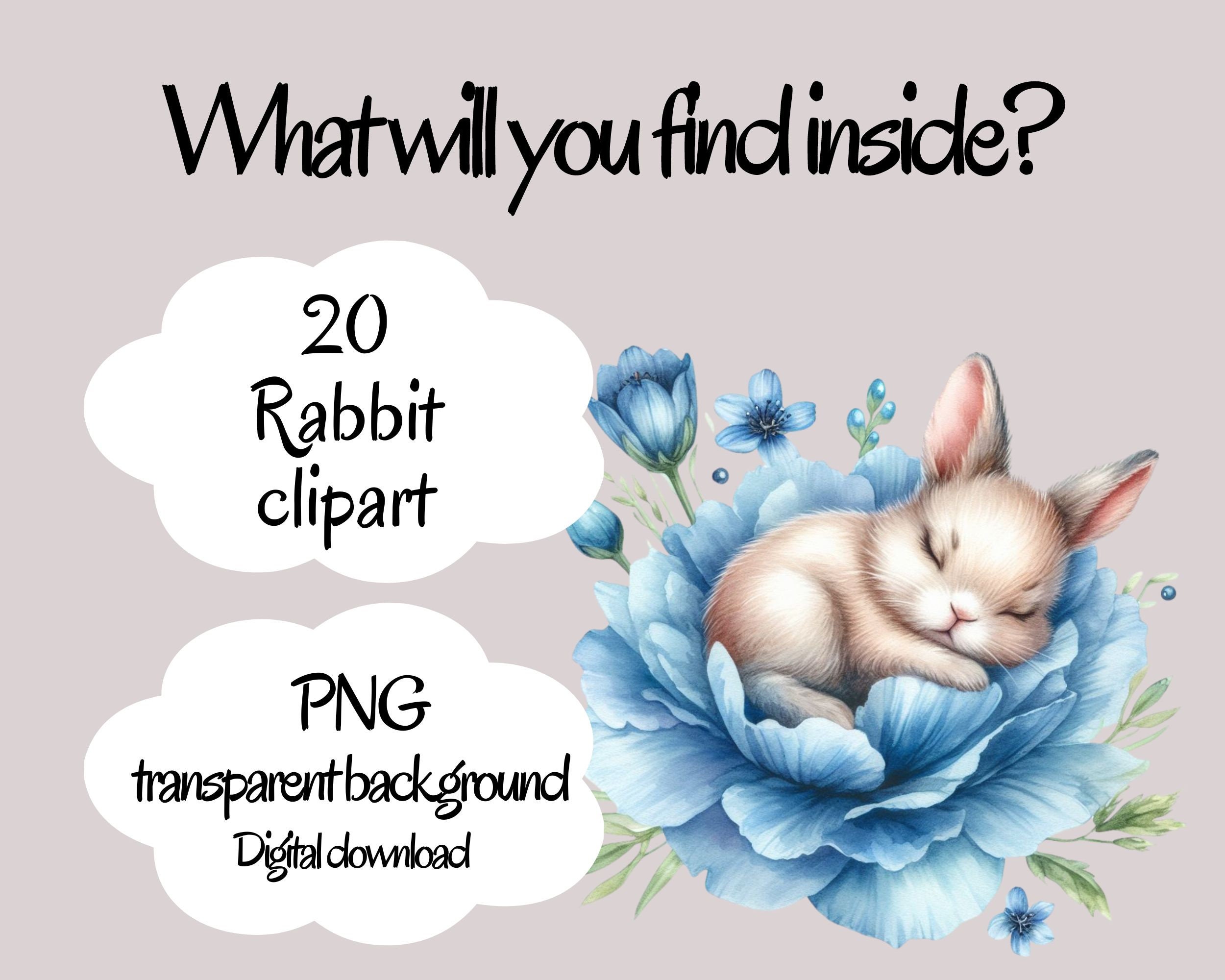 Watercolor Bunny and Flowers Clipart Bundle High Quality PNG, Digital ...