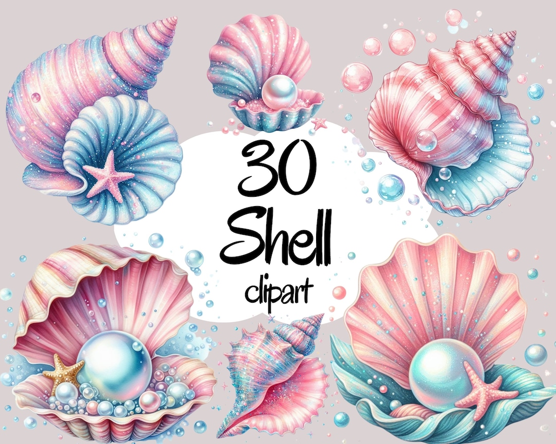 Shell Clipart Bundle, Watercolor Cute Pink Shell Clipart Png, Cute Sea ...