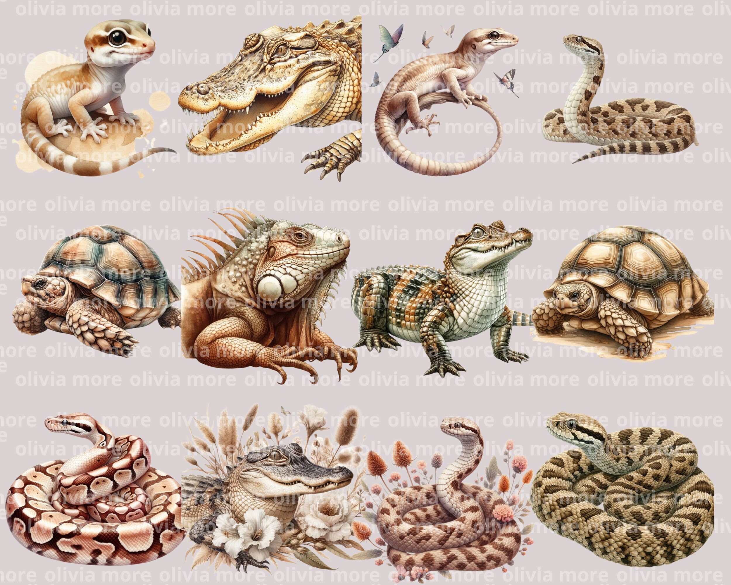 Watercolor Reptiles Clipart Chameleon, Lizard, Snake, Turtle, Tortoise ...