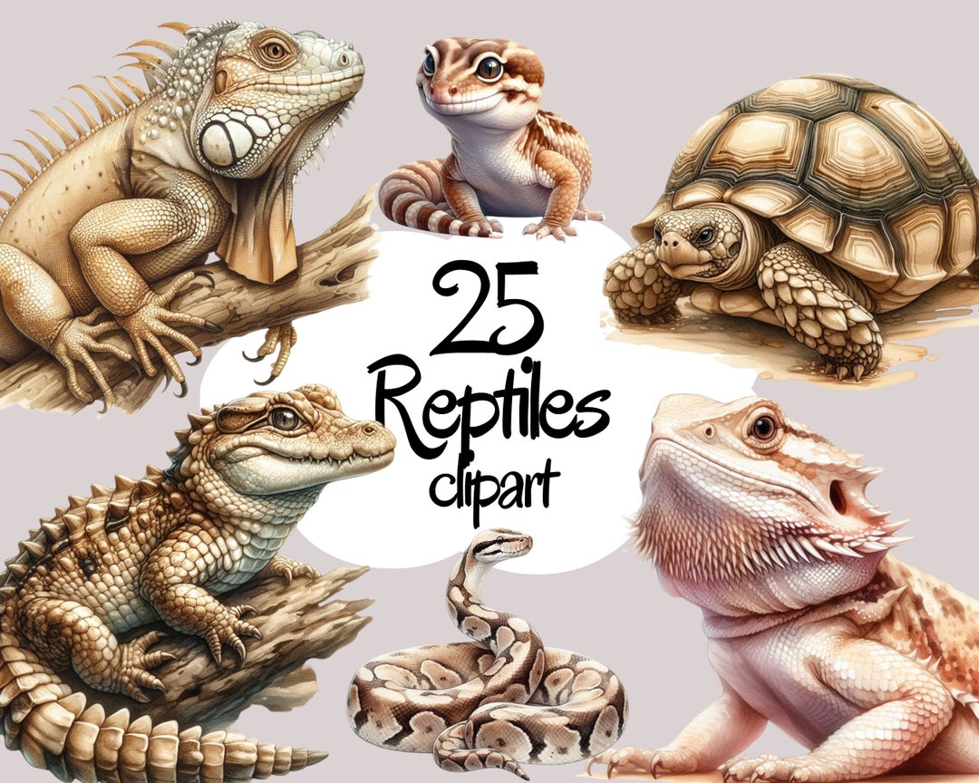 Watercolor Reptiles Clipart Chameleon, Lizard, Snake, Turtle, Tortoise ...