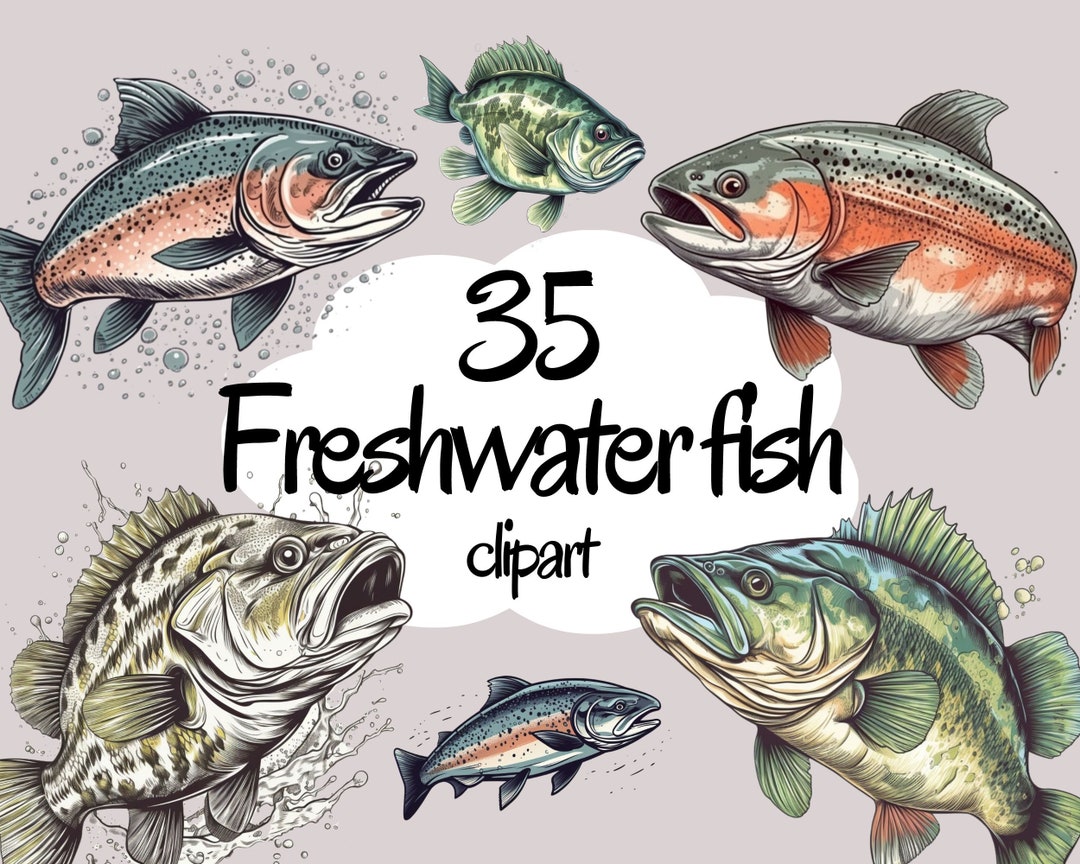 Freshwater Fish Clipart, Fish Clipart, Bass Fish, Printable Watercolor ...