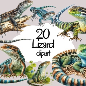 Lizard Clipart Watercolor Reptile Clipart Lizard Png Cute Lizard ...