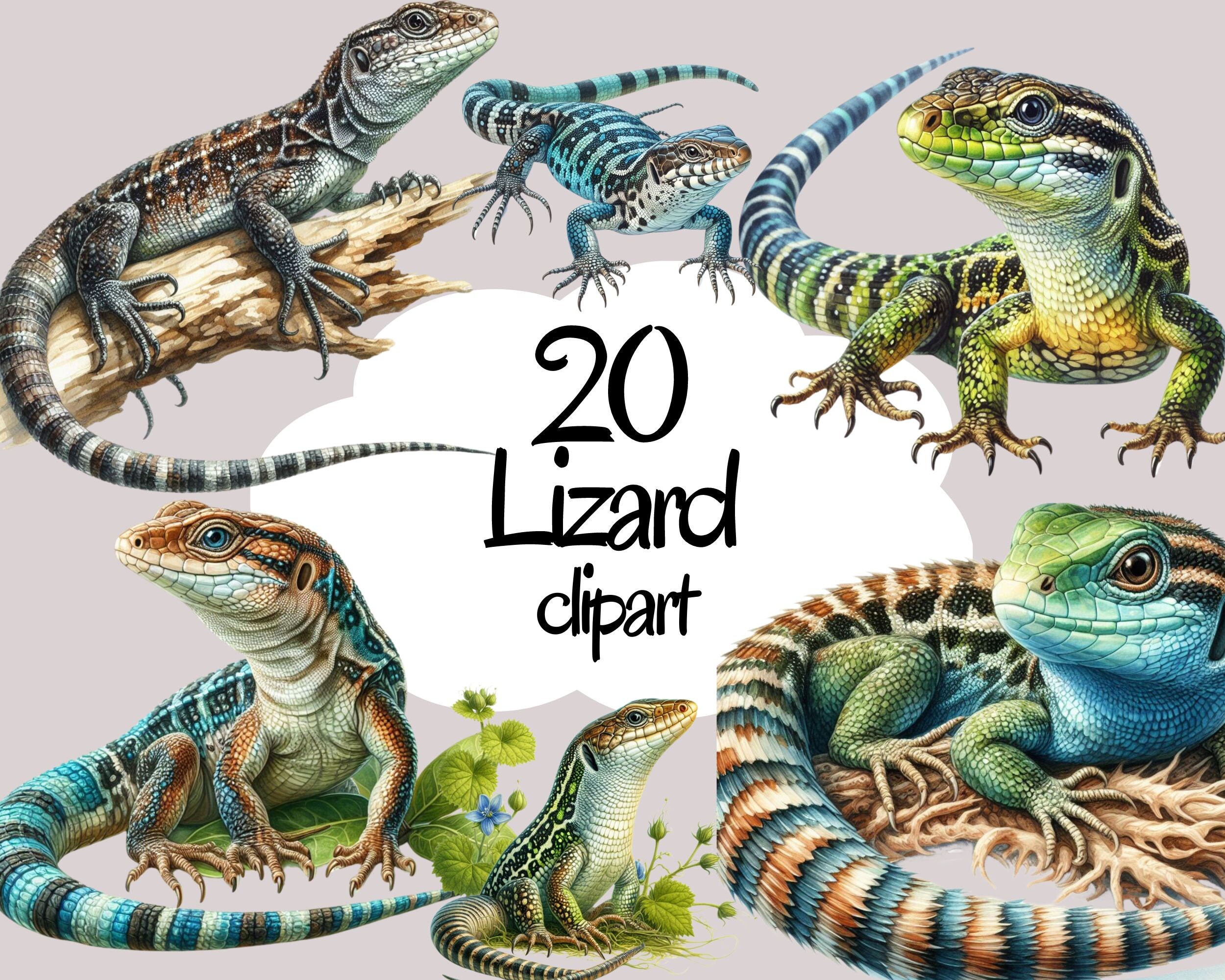 Lizard Clipart Watercolor Reptile Clipart Lizard Png Cute Lizard ...