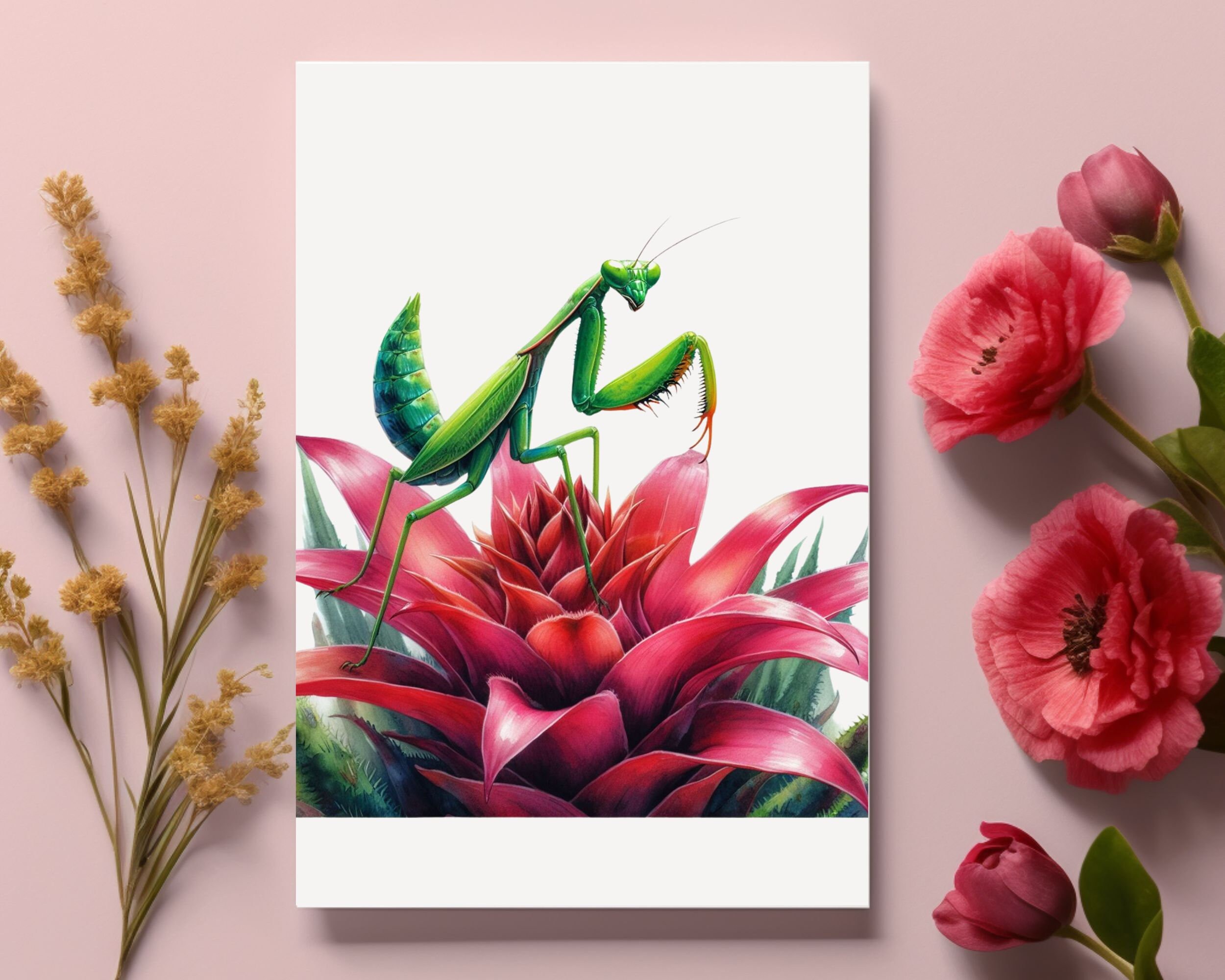 Praying Mantis Clipart Watercolor Mantis Clipart Insect Png Cute Insect ...